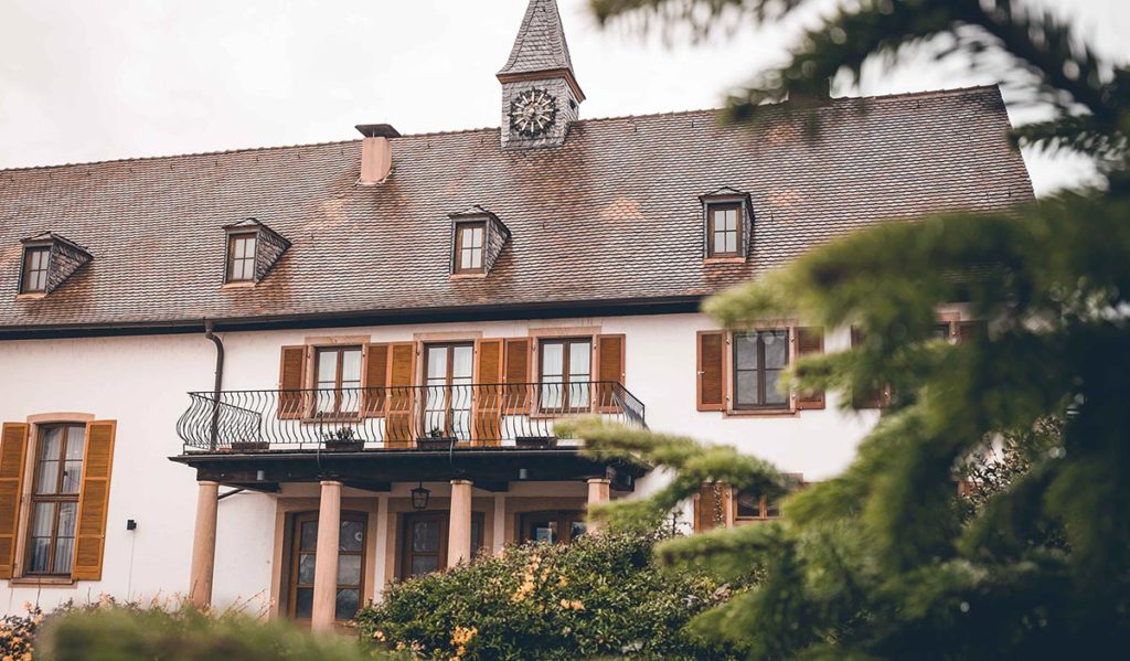 Der Maxdorf-Plan - SPD Maxdorf